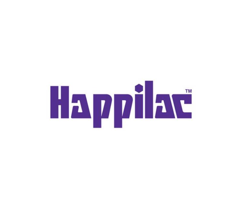Happilac Paints - Made in Pakistan